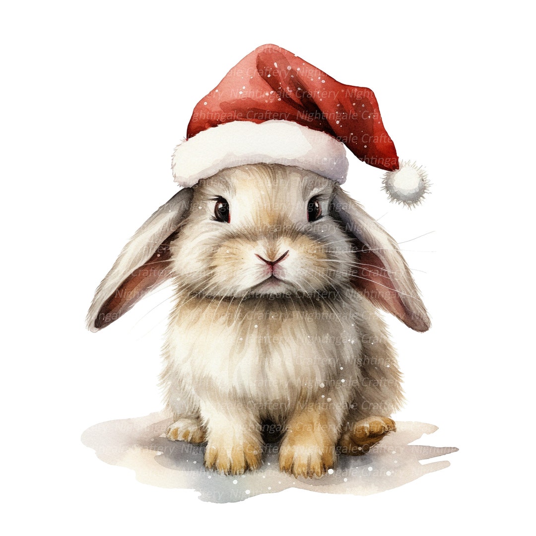 12 Fluffy Bunny Christmas Clipart, Santa Bunny, Printable Watercolor ...