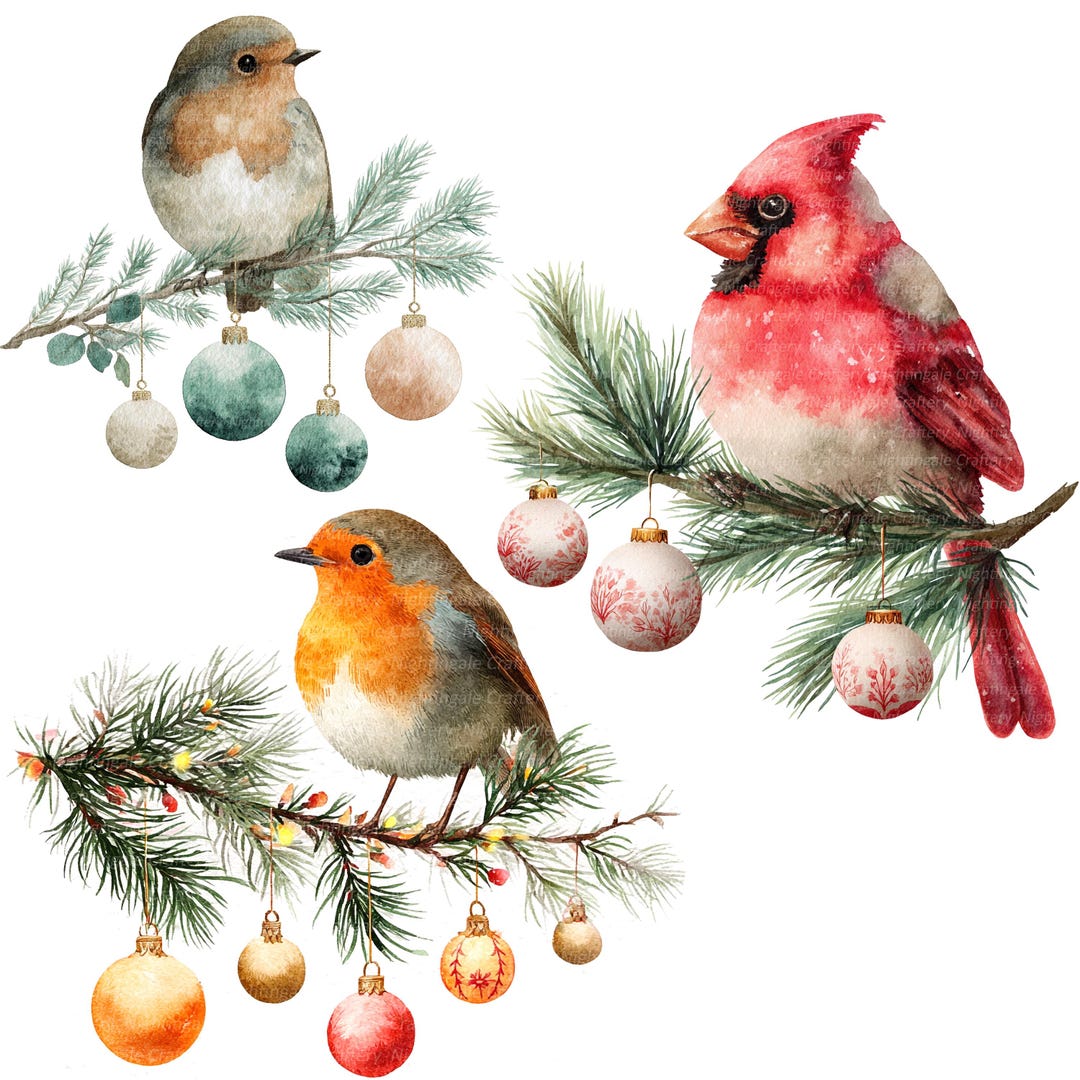 8 Christmas Robin Clipart, Red Cardinal, Printable Watercolor Clipart ...