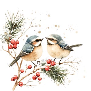 10 Christmas Birds Clipart, Red Cardinal, Robin, Printable Watercolor ...