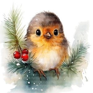 12 Cute Little Robin Clipart, Christmas Robin, Printable Watercolor ...