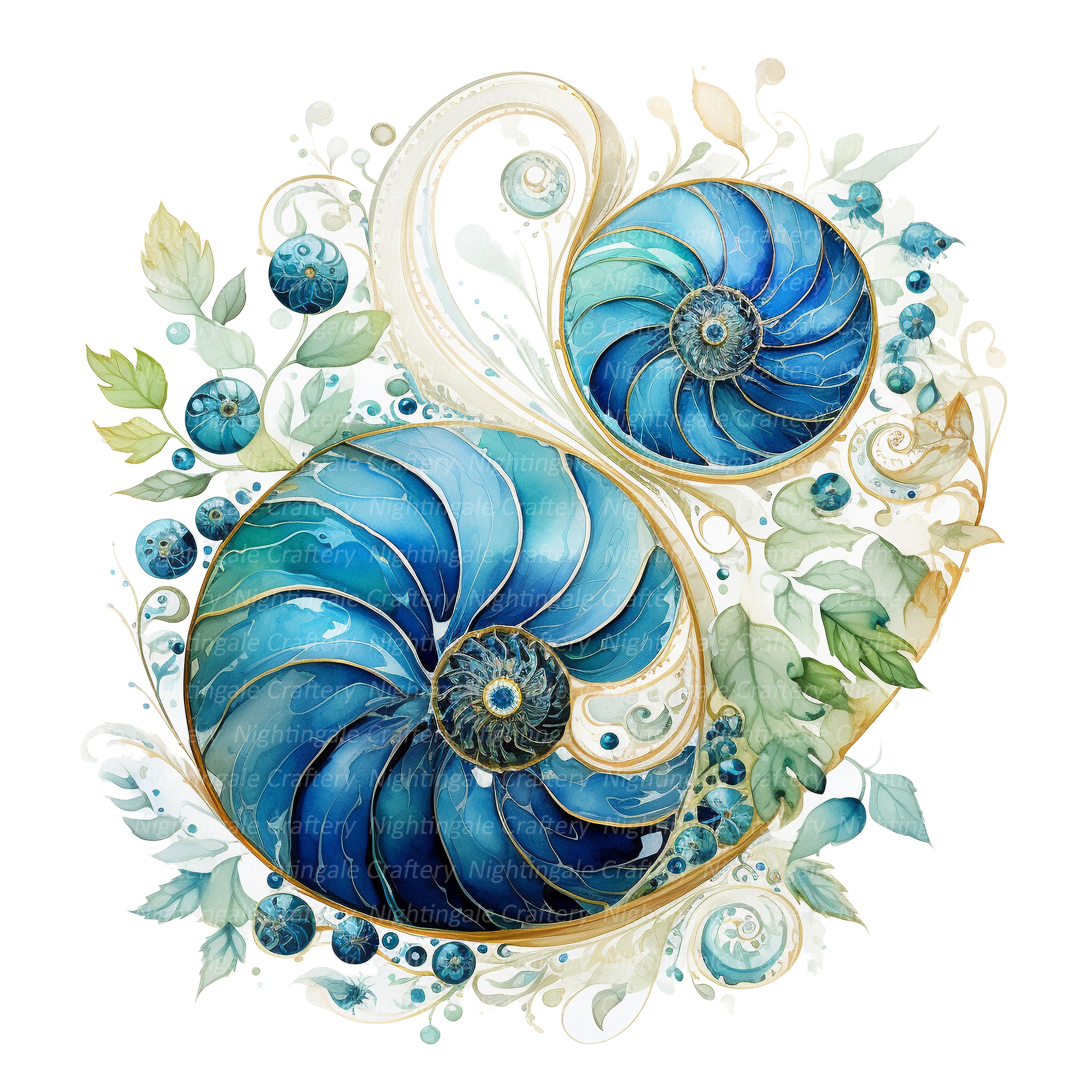 12 Abstract Paua Shells Clipart, Spiral Shells, Printable Watercolor ...