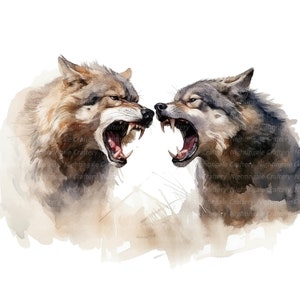 9 Wolves Fight Clipart, Angry Wolf, Printable Watercolor Clipart, High ...