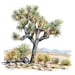 9 Joshua Tree Clipart, Joshua Tree Print, Printable Watercolor Clipart ...