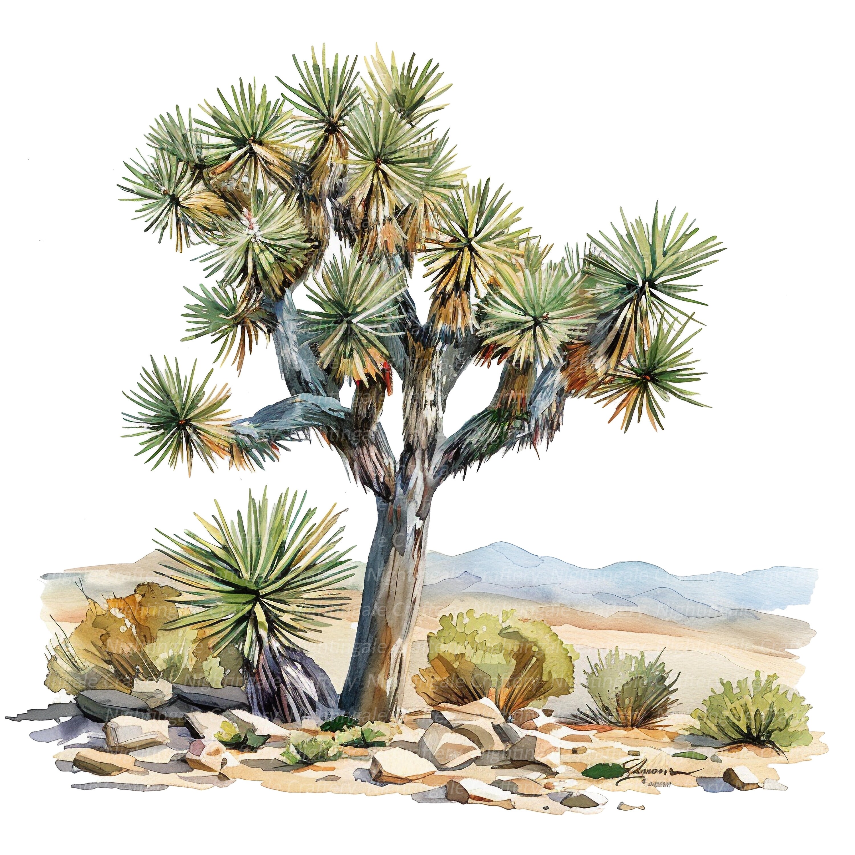 9 Joshua Tree Clipart, Joshua Tree Print, Printable Watercolor Clipart ...