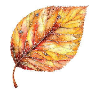 14 Jeweled Autumn Leaves Clipart, Fall Leaves, Printable Watercolor ...