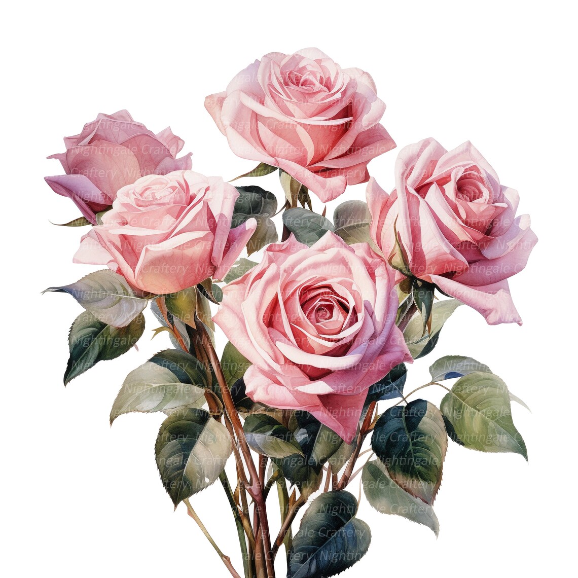 10 Pink Roses Long Stems Clipart, Roses Bouquet, Printable Watercolor ...
