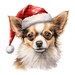10 Chihuahua With Santa Hat Clipart, Printable Watercolor Clipart, High ...