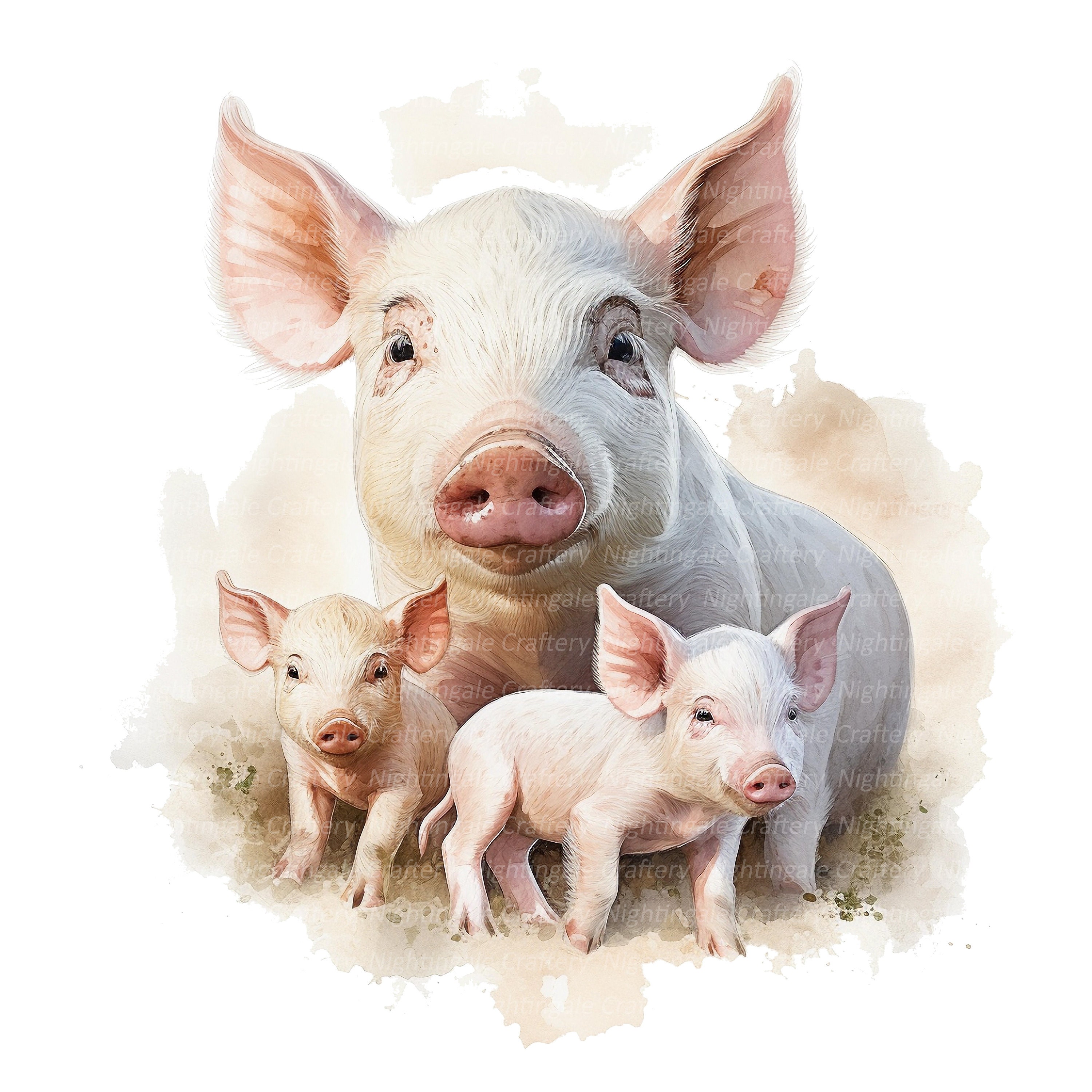 12 Farmyard Pig Clipart, Printable Watercolor Clipart, High Quality PNG ...