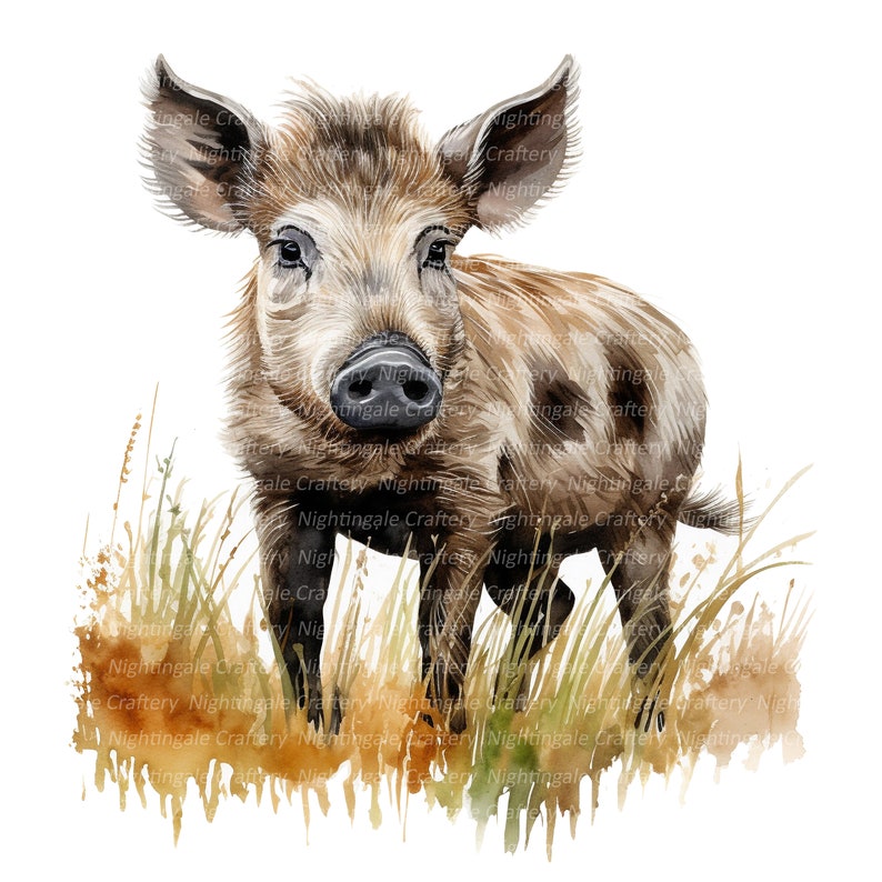 Wild Boar in Forest Clipart Printable Watercolor Clipart 10 - Etsy