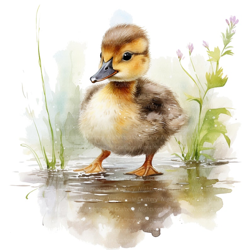 10 Duckling Clipart Duck Duckling Printable Watercolor - Etsy