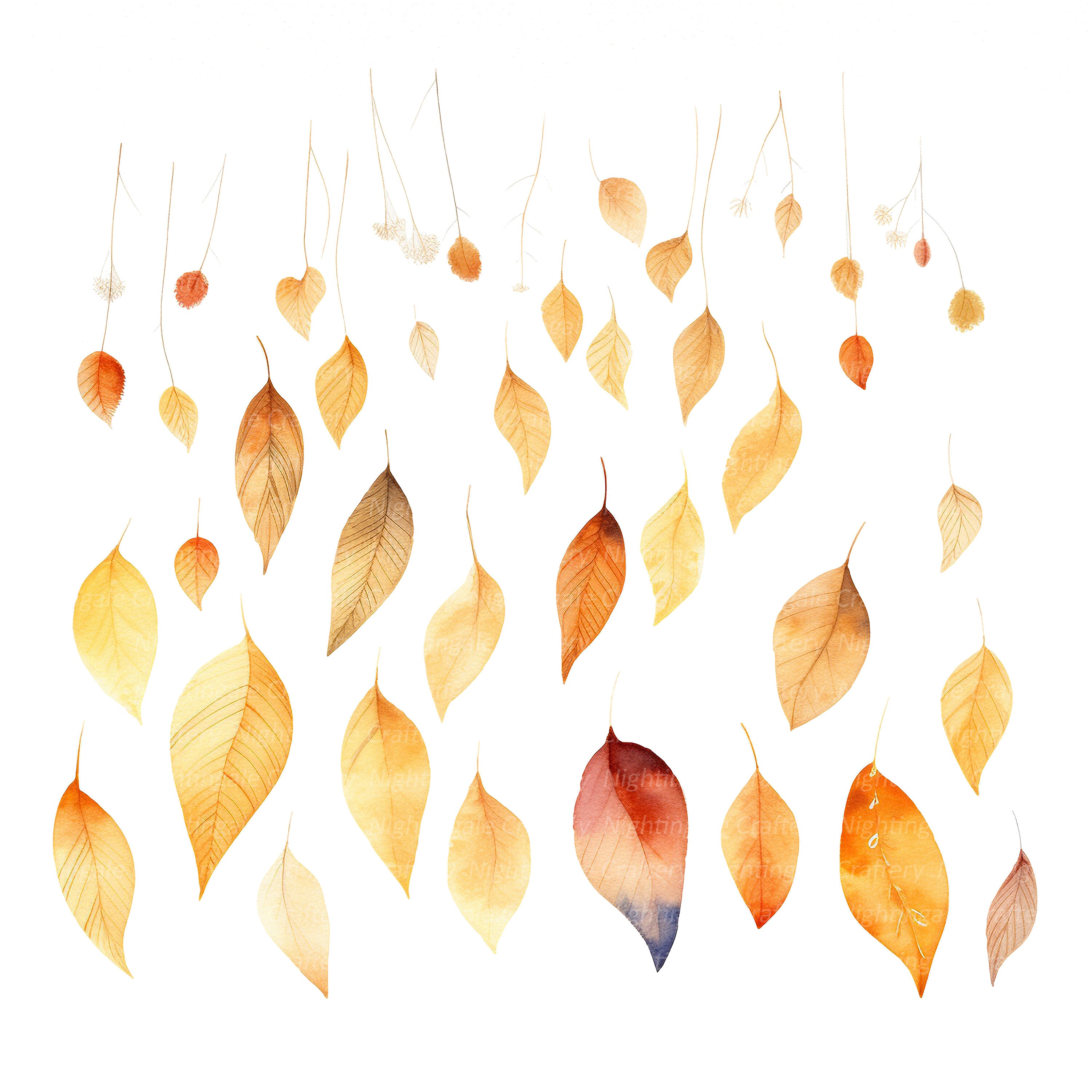 12 Falling Autumn Leaves Clipart, Fall Leaves, Printable Watercolor ...
