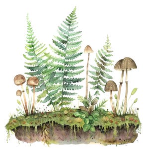 10 Botanical Ferns Clipart, Fern Moss Decor, Printable Watercolor ...