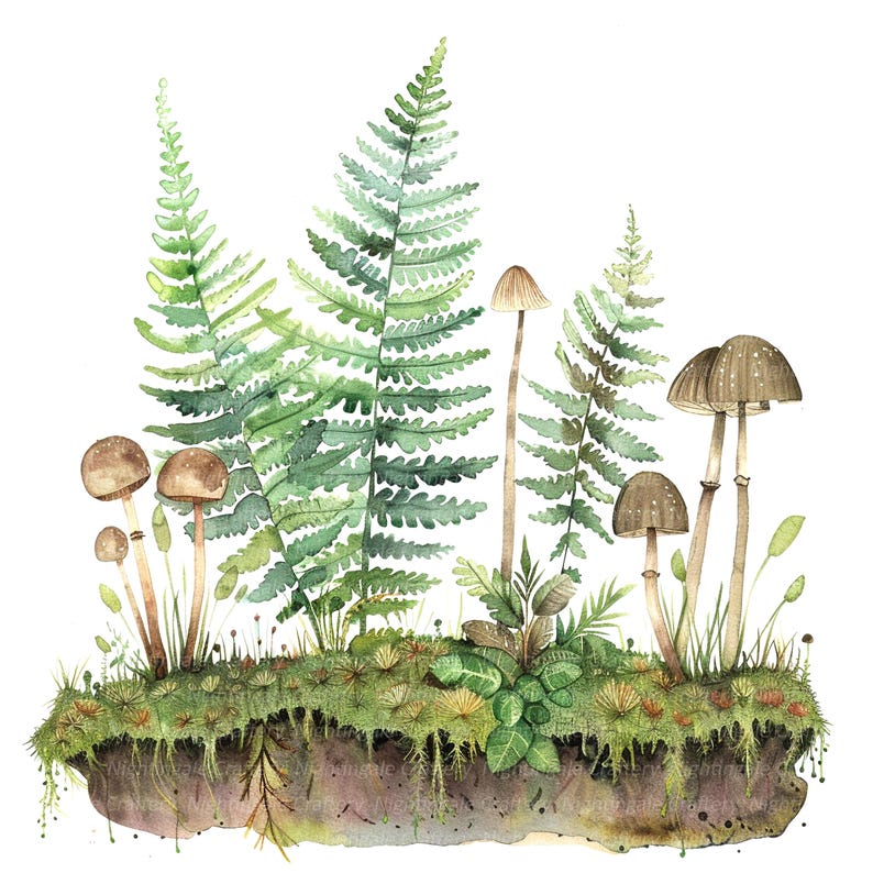 10 Botanical Ferns Clipart, Fern Moss Decor, Printable Watercolor ...