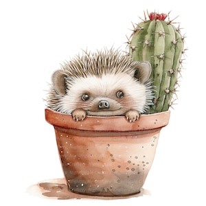 11 Hedgehog and Cactus Clipart, Cartoon Hedgehog, Printable Watercolor ...