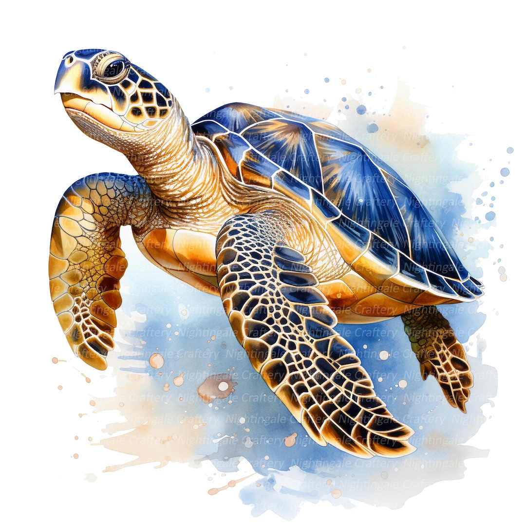12 Sea Turtle Clipart Set 2, Marine Turtle, Printable Watercolor ...