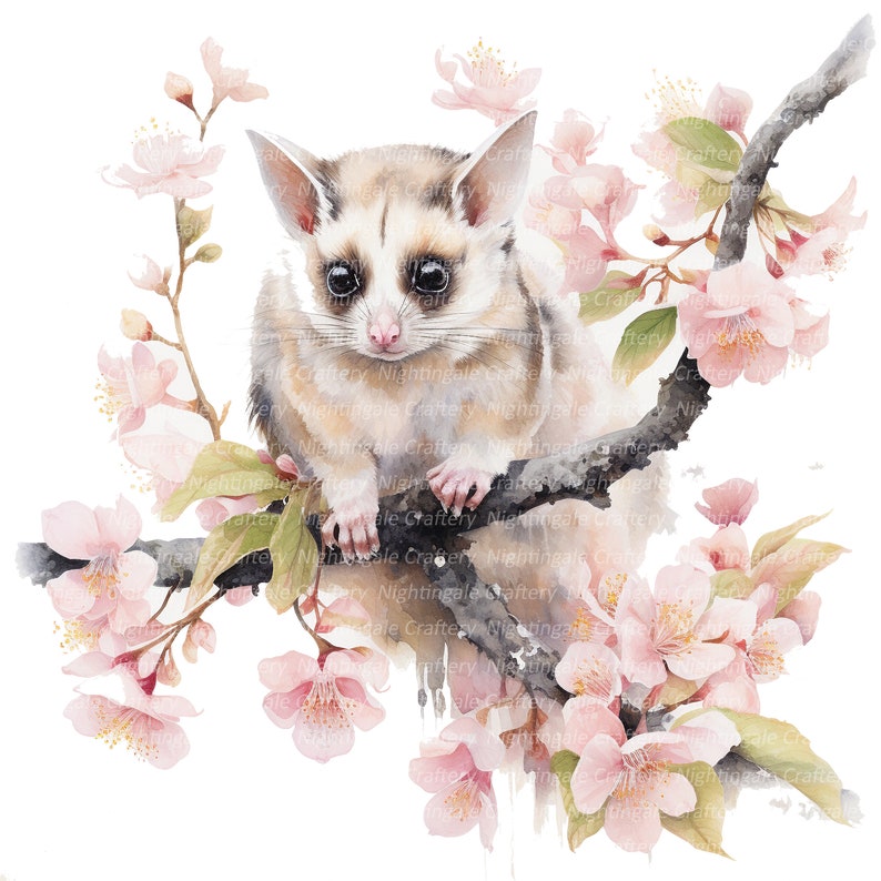 Sugar Glider Clipart Printable Watercolor Clipart 10 High - Etsy