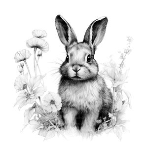 10 Bunny Black Ink Clipart, Line Art Clipart, Printable Watercolor ...