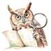 10 Owl With Magnifying Glass Clipart, Digital Clipart, Watercolor ...