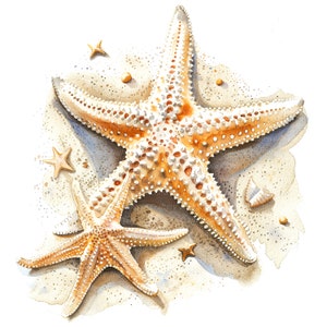 12 Starfish Clipart, Starfish in Beach, Printable Watercolor Clipart ...