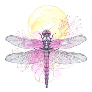 8 Pink Dragonfly Clipart, Printable Watercolor Clipart, High Quality ...