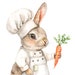 8 Bunny Chef Clipart, Cook Clipart, Printable Watercolor Clipart, High ...