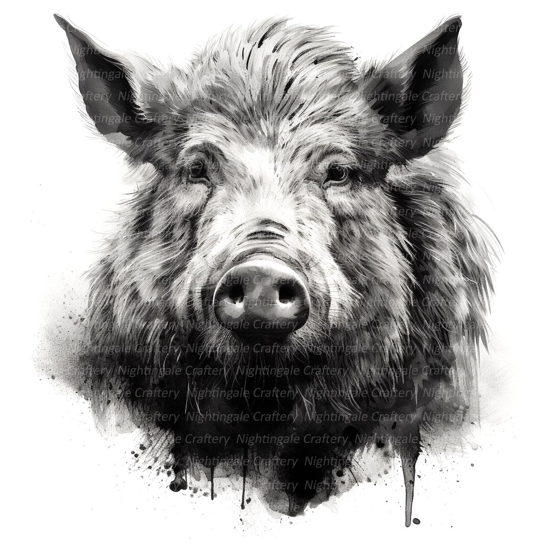 10 Wild Boar in Line Art Clipart, BW, Printable Watercolor Clipart ...
