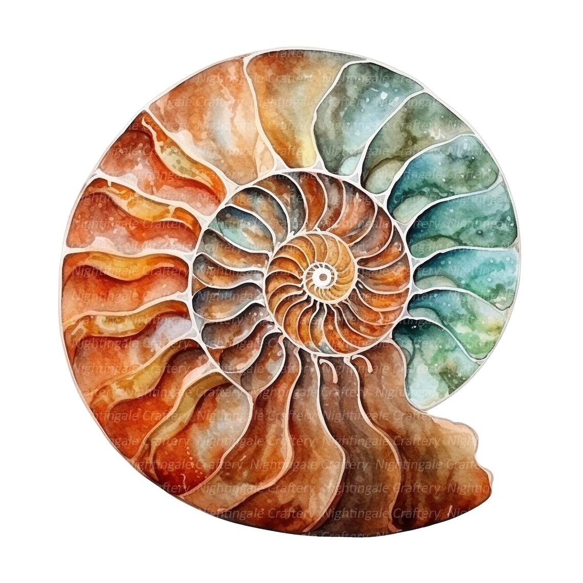 8 Ammonite Fossil Clipart, Fossils Clipart, Printable Watercolor ...