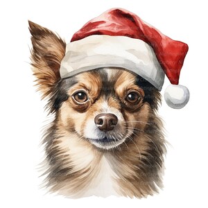 10 Chihuahua With Santa Hat Clipart, Printable Watercolor Clipart, High ...
