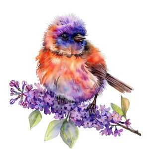 10 Whimsical Birds Clipart, Lilac Clipart, Digital Clipart, Watercolor ...