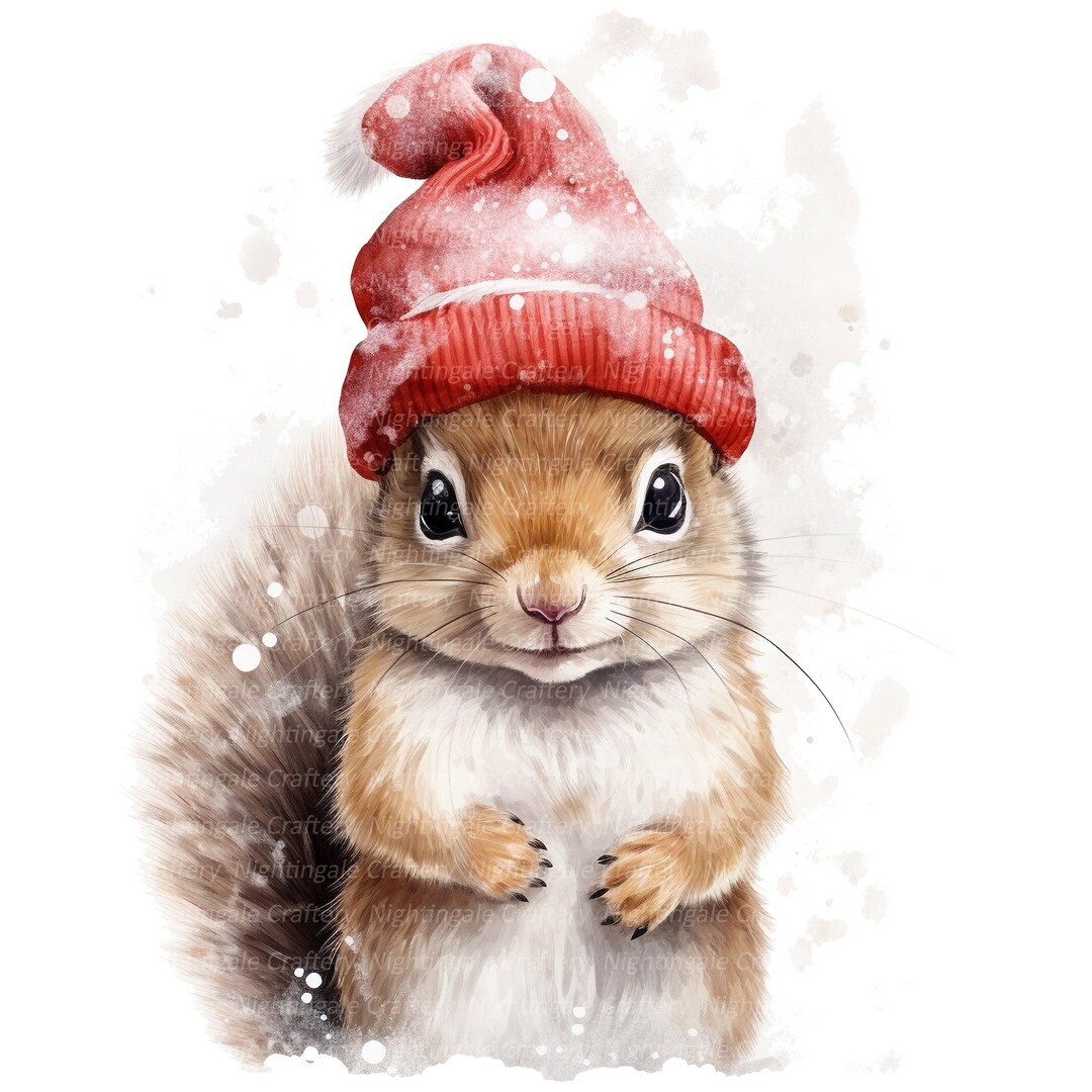 14 Squirrel Christmas Hat Clipart, Printable Watercolor Clipart, High ...