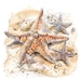 12 Starfish Clipart, Starfish in Beach, Printable Watercolor Clipart ...
