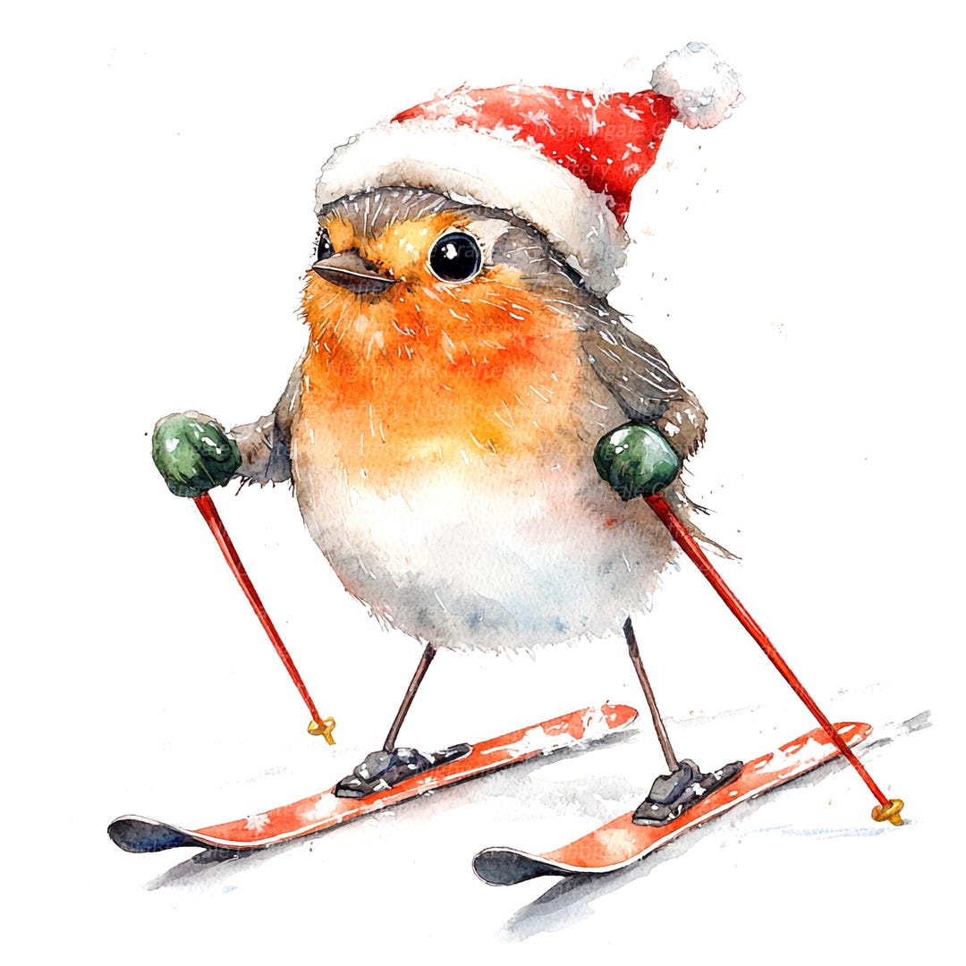 11 Robin Skiing Clipart, Christmas Robin, Printable Watercolor Clipart ...