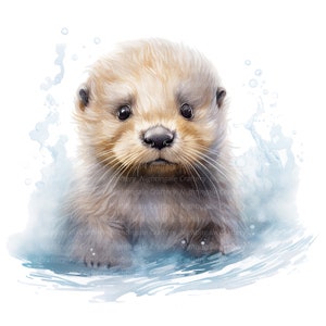 14 Otter Clipart, Sea Otter, Printable Watercolor Clipart, High Quality ...