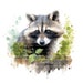 Raccoon in Forest Clipart, Printable Watercolor Clipart, 10 High ...