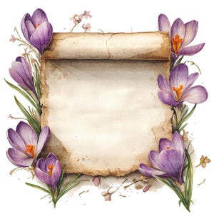 20 Spring Theme Scroll Clipart, Vintage Scroll, High Quality Jpgs ...