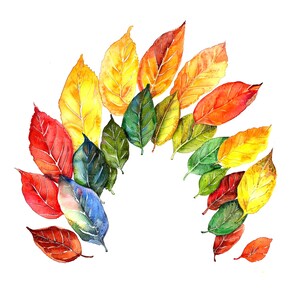 11 Autumn Leaves Clipart, Rainbow Clipart, Printable Watercolor Clipart ...