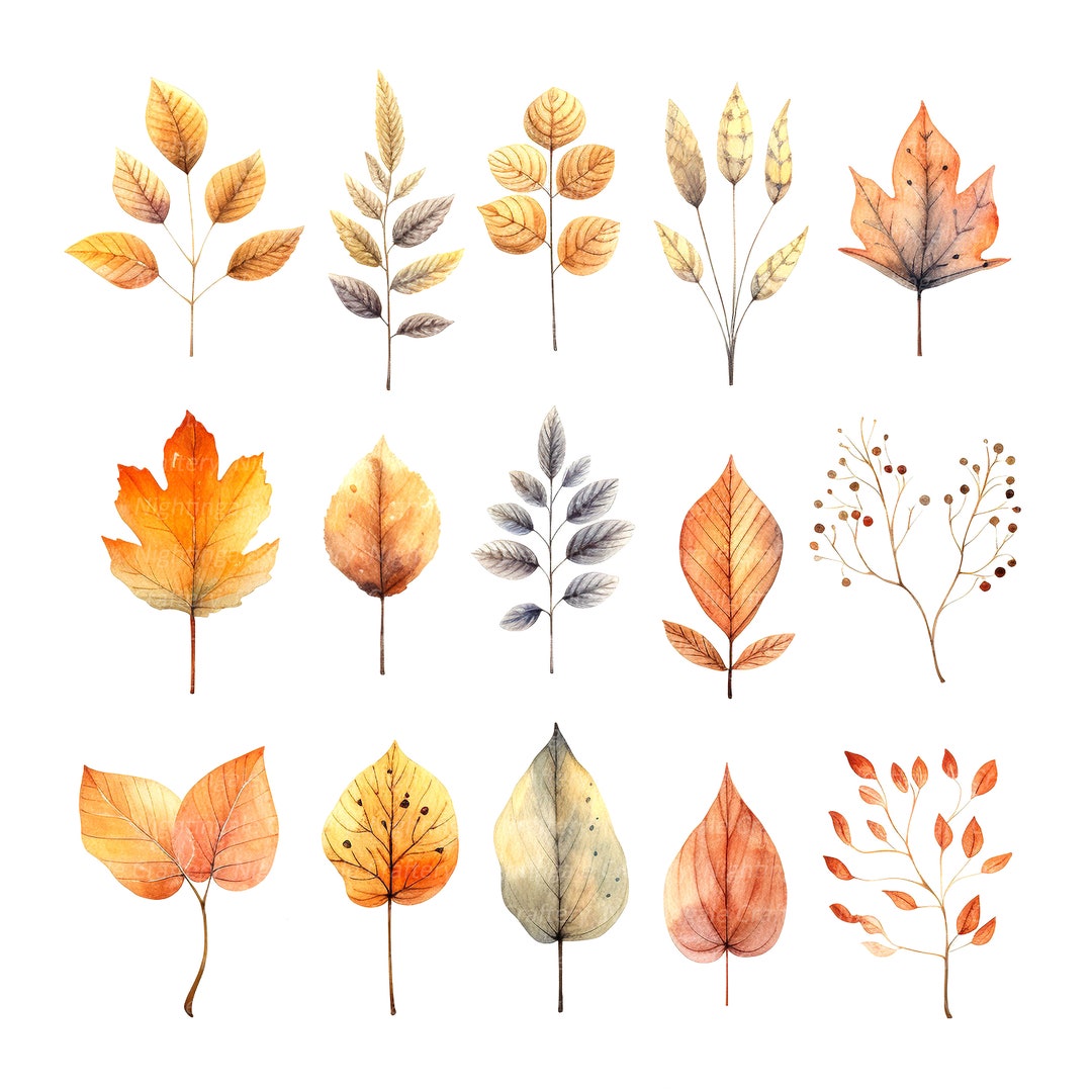 14 Autumn Leaves Boho Style Clipart, Boho Fall Printable Watercolor ...