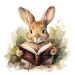 12 Bunny Reading Book Clipart, Bunny Clipart, Printable Watercolor ...