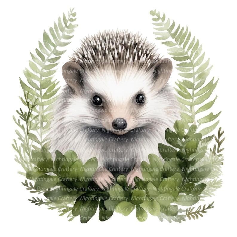 Cute Hedgehog in Greenery Clipart Printable Watercolor - Etsy
