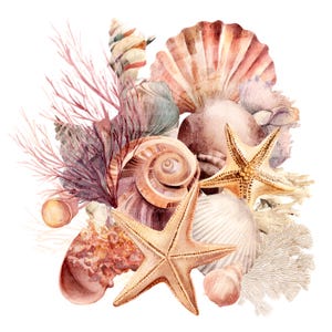 10 Boho Sea Shells Clipart, Seashell Clipart, Printable Watercolor ...