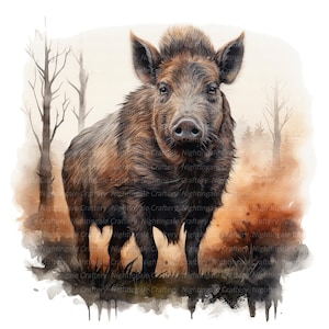 12 Wild Boar in Sunset Clipart, Printable Watercolor Clipart, High ...