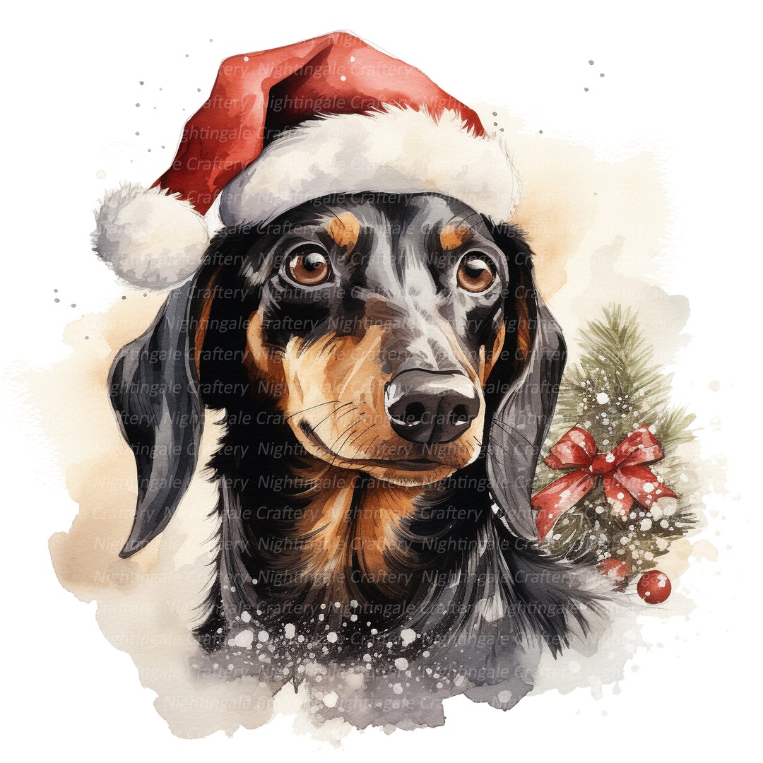 12 Dachshund With Santa Hat Clipart, Printable Watercolor Clipart, High ...