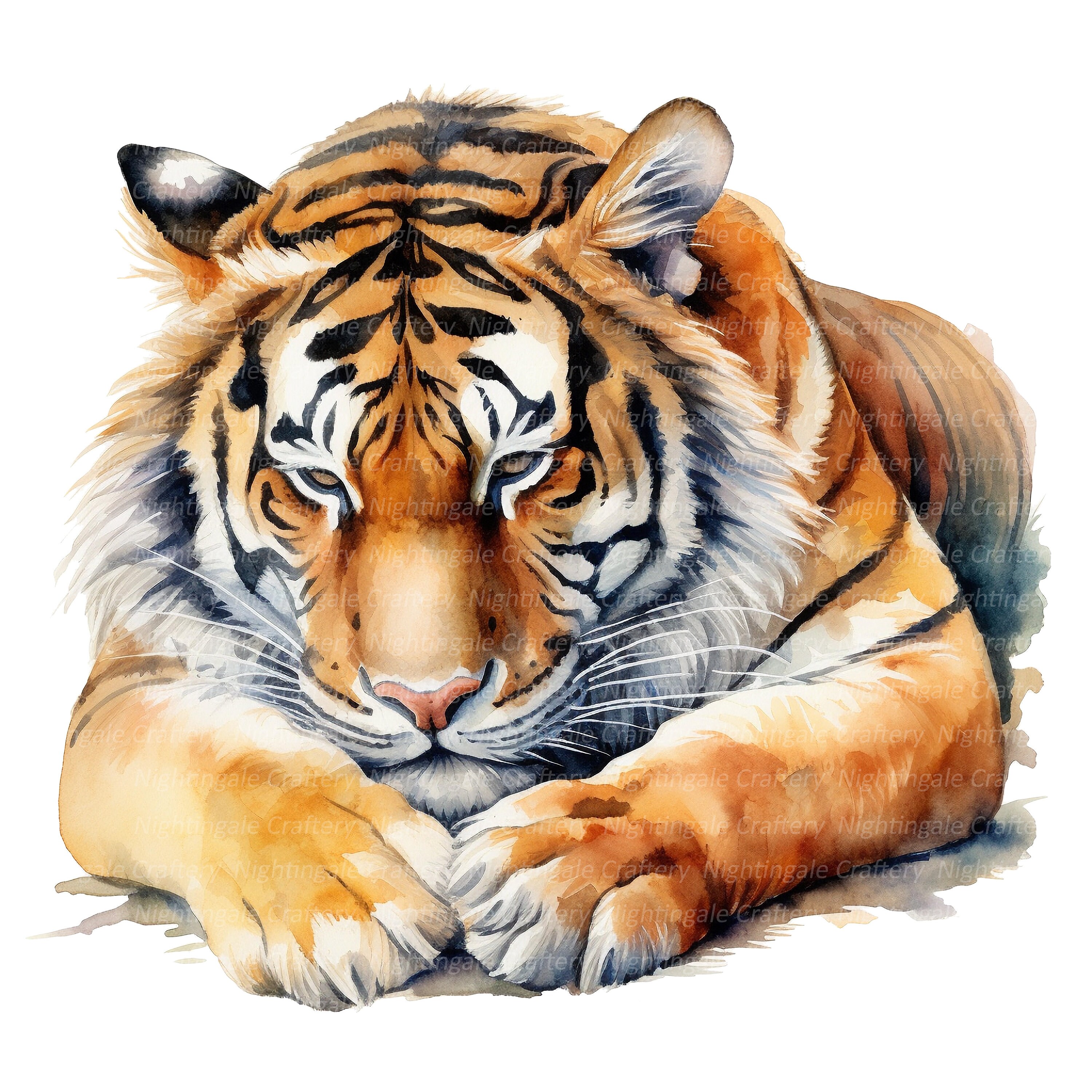 14 Tiger Clipart Watercolor Tiger Printable Watercolor - Etsy