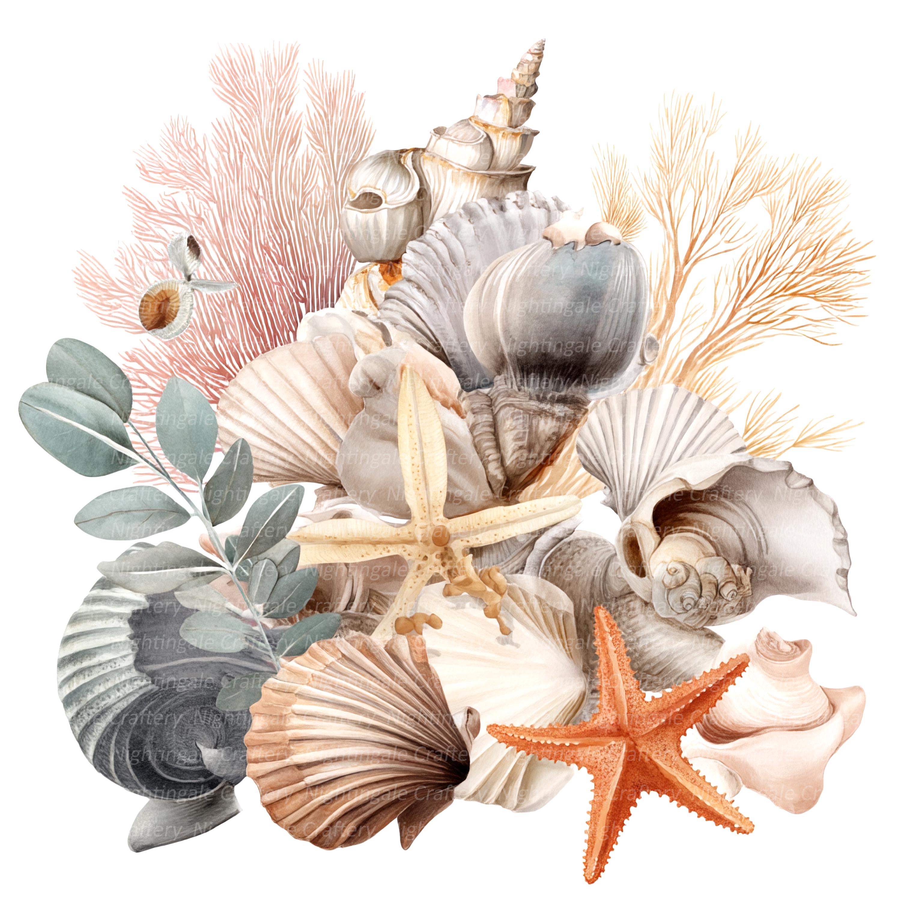 10 Boho Sea Shells Clipart, Seashell Clipart, Printable Watercolor Clipart, High Quality Pngs ...