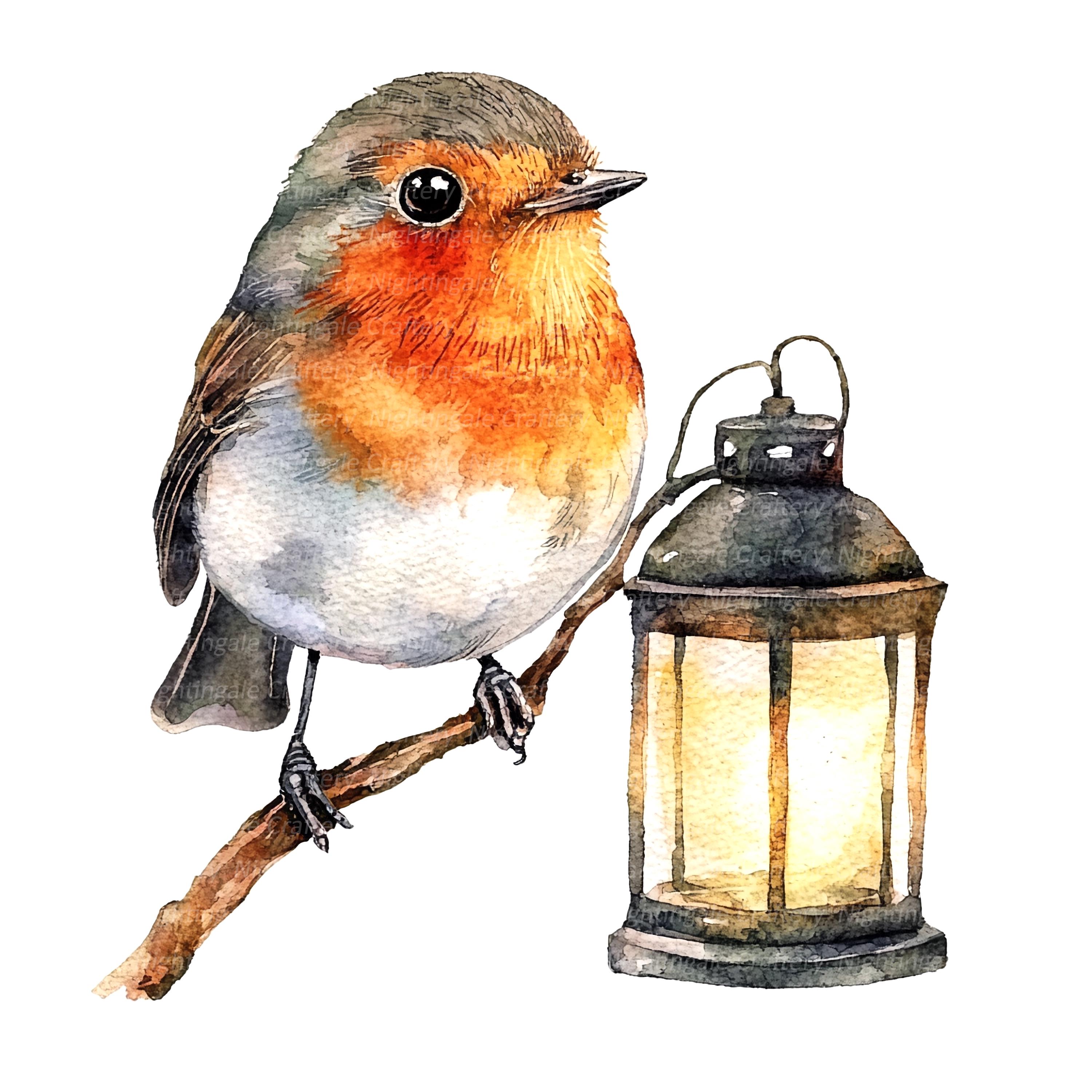 12 Robin and Lantern Clipart, Christmas Robin, Printable Watercolor ...