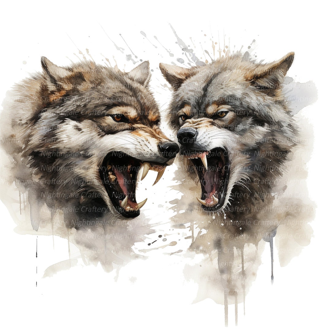 9 Wolves Fight Clipart, Angry Wolf, Printable Watercolor Clipart, High ...