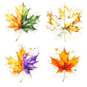 16 Coloured Autumn Leaves Clipart, Maple Leaf, Printable Watercolor ...