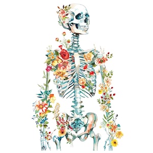 12 Floral Human Skeleton Clipart, Floral Skeleton, Printable Watercolor ...
