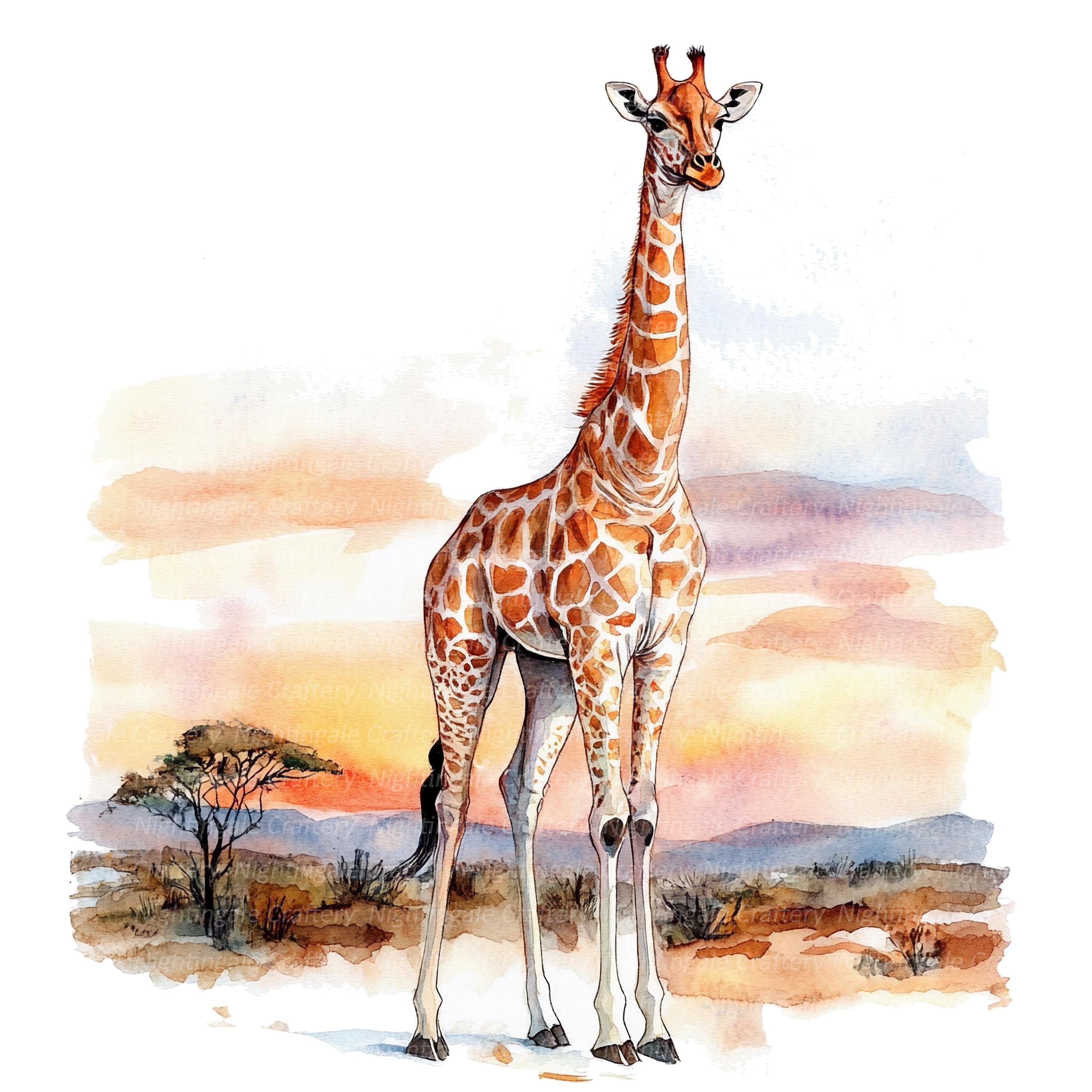 10 Giraffe Clipart, Watercolor Giraffe, Printable Watercolor Clipart ...