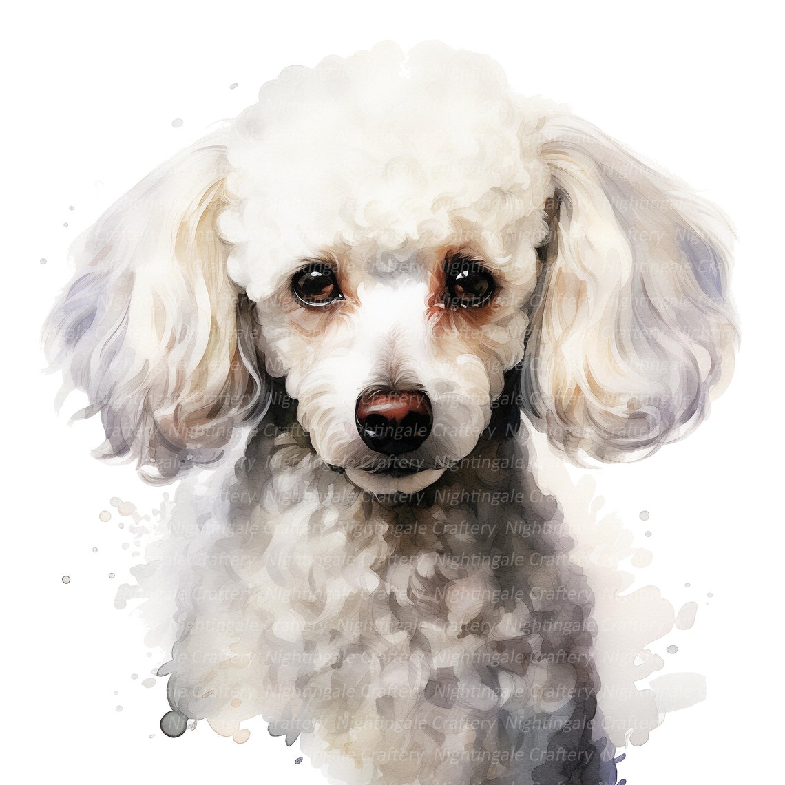 12 Poodle Clipart, Pudel Clipart, Printable Watercolor Clipart, High ...